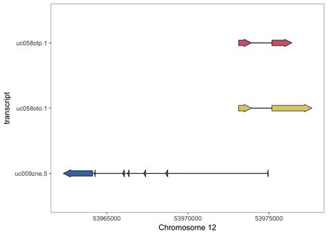 Arrow Direction Issue Wilkox Gggenes GitHub