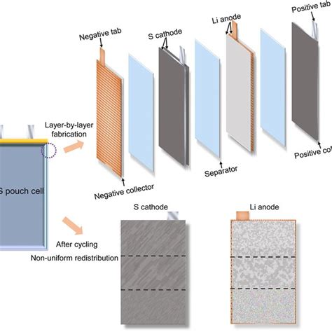 Schematic Illustration Of The Lis Pouch Cell Fabrication By A