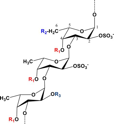 A General Chemical Backbone For Fucoidans And Sulfated Fucans Isolated