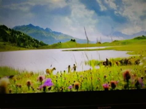 看了《海蒂和爺爺》，你還會刻板地認為隔代扶養一定不好嗎？ 每日頭條