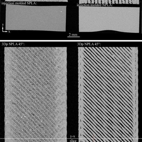 Slices Acquired At 13 µm 3 Voxel Size Showing All Six Specimens In Download Scientific