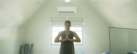 Advantages And Disadvantages Of Mini Split Systems Carrier