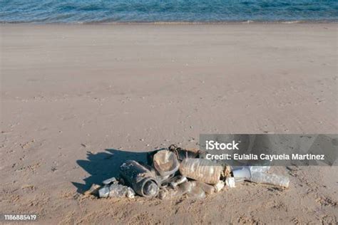 바다 쓰레기로 만든 해변 모래에 누워 물고기 모양입니다 0에 대한 스톡 사진 및 기타 이미지 0 Microplastic 개념 Istock