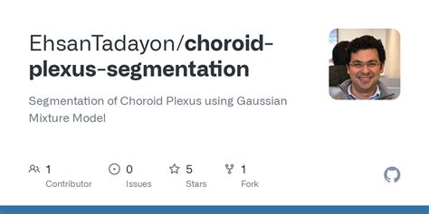 github ehsantadayon choroid plexus segmentation segmentation of