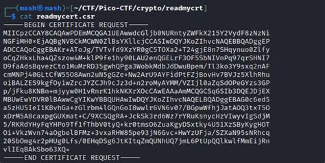pico ctf readmycert j053 s playground