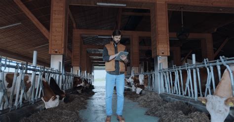 The Potential Of Computer Vision In Agritech Lemberg Solutions