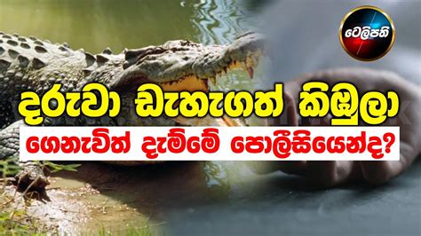 කිඹුලා කඩුවෙලට ආවේ කොහෙන්ද Youtube