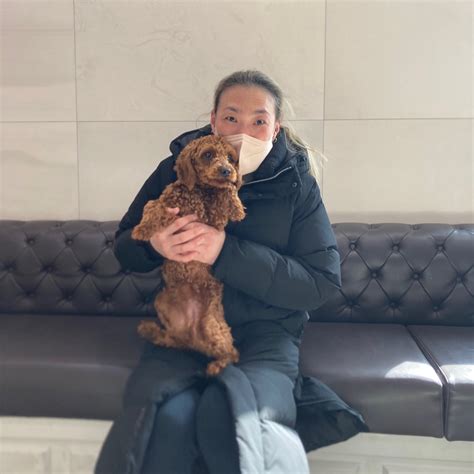 푸들 나무 말티폼분양전문 원주시강아지분양 친칠라분양 소형강아지 오드아이고양이 아메리칸컬분양 브리더분양 요크셔 빅토리아펫보호소 입양완료