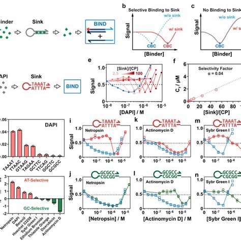 Determining Sequence Selectivity Of Dna Binder Interactions Using