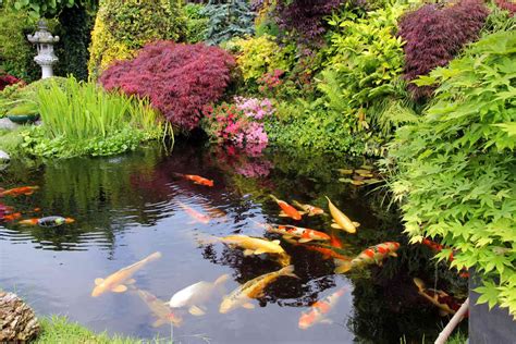 24 Stunning Koi Pond Ideas