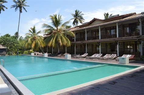 Paradise Beach Club 4 Шри Ланка Мирисса отзывы фото и сравнение цен Tripadvisor