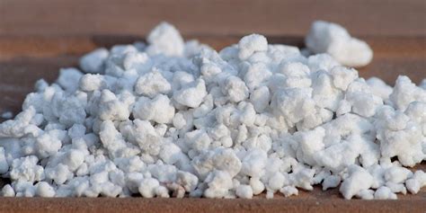 A cosa serve la perlite nel giardino e come usarla - GreenStyle