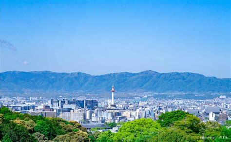 彬子女王殿下が、京都・二条通で感じられた「日本古来の薬の役割」 Phpオンライン｜php研究所