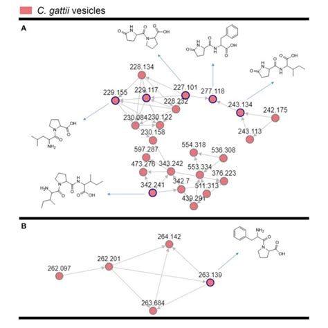 Molecular Networking Visualization Of The Peptides Identified In The Download Scientific