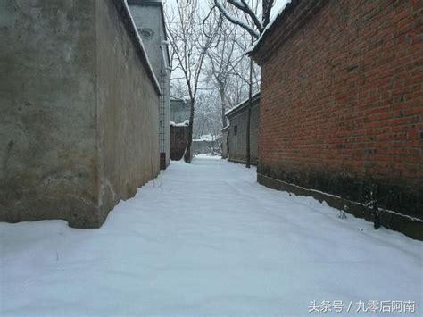 一夜的大雪銀裝素裹這樣的雪景你們見過嗎真的太漂亮了 每日頭條