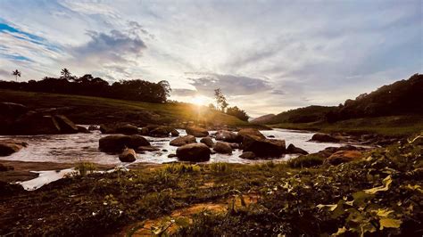 Naturegram Naturegram Wagamon • Instagram Photos And Videos