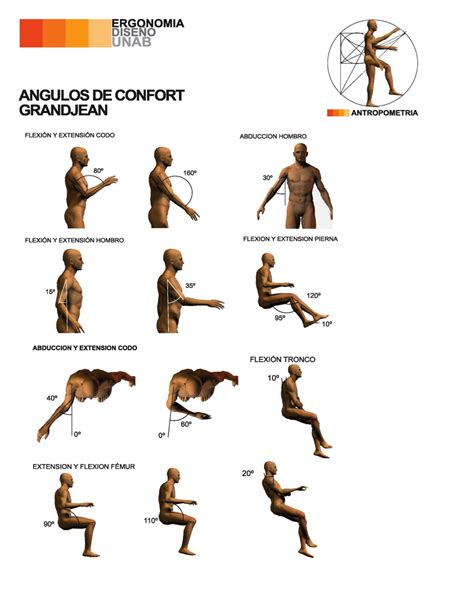 PROYECTO ERGONOMIA ANTROPOMETRÍA DINÁMICA