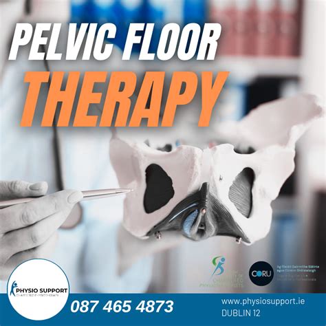 Physio 📍 What Is Pelvic Physical Therapy Pelvic Floor Dysfunction Can Cause Voiding And
