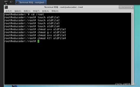 操作系统头歌 —— Linux环境、文件操作、权限管理、实验练习根据相关知识将系统启动时显示的字符串由原来的partition Table