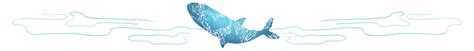 The Secrets Of The Last Greenland Shark Fix