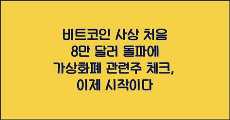 비트코인 사상 처음 8만 달러 돌파에 가상화폐 관련주 체크 이제 시작이다