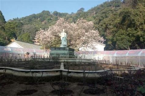 云南楚雄10大最好玩的地方元谋土林和彝人古镇必去你去过吗 搜狐大视野 搜狐新闻