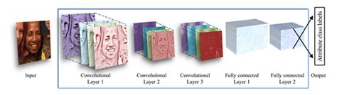 用opencv和深度学习进行年龄识别 Csdn博客