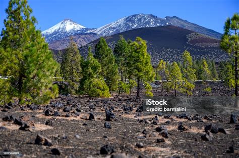 테네리페 섬 카나리아 스페인에 화산 테이데 산의 상단에보기 0명에 대한 스톡 사진 및 기타 이미지 0명 겨울 경관 Istock