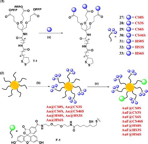 CS And HS Conjugation To The Tripod Schematic Representation Of Download Scientific
