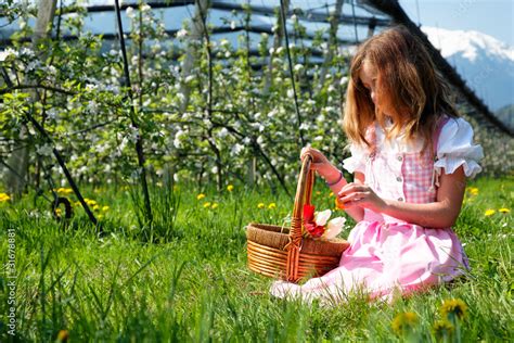 IN DER BLUMENWIESE HERBY MESERITSCH Stock Photo Adobe Stock