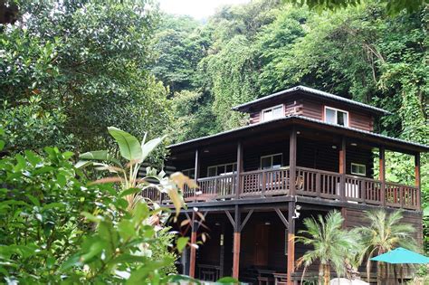 雪莉的小島 前幾天太太問我：為什麼三十多歲的人也會染疫身亡？ 我說：我覺得這個病毒就像精密的身體檢查儀器，它進入人體後會經過嚴密的審核