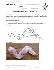 DLC Lab Activity Chicken Dissection KEY Doc Internal Anatomy Of A Chicken Lab Activity