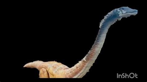 New Epic Evolution Diplodocus Youtube