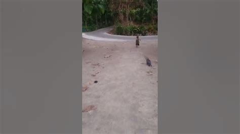 Mau Hujan Hujan Di Jalan Youtube
