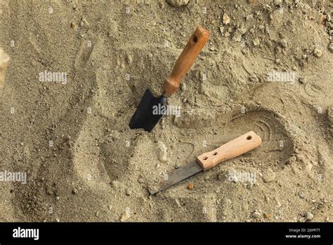 Shovel In The Sand Skeleton And Archaeological Tools Digging For