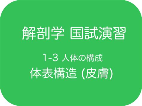 【解剖学・基礎】皮膚の構造｜かずひろ先生（黒澤一弘｜解剖学）