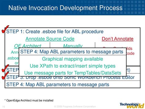 C Introducing Native Invocation With The Openedge Adapter For Sonic