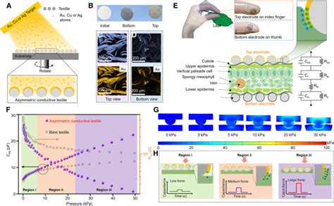 Iontronic Tactile Sensory System For Plant Species And Growth Stage