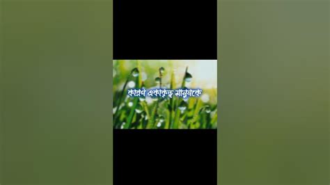 আল্লাহ পাকের পক্ষ থেকে একটা বিশেষ অনুগ্রহ হচ্ছে একাকীত্ব। Islamicvideo
