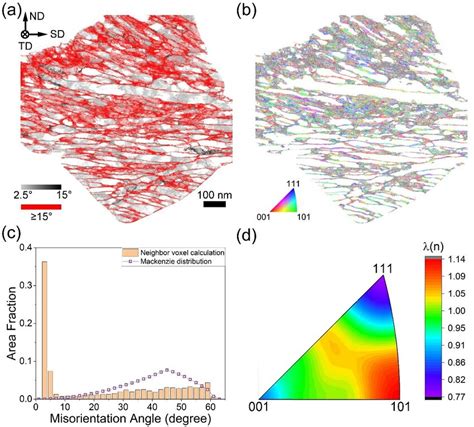 Plane View Of The 3d Reconstruction Of The Grain Boundaries Of The Download Scientific Diagram