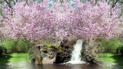 Música Para Relaxar Cachoeira Relaxante E Música Acalmar A Mente