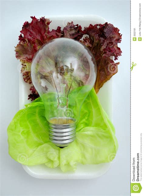 Fresh idea stock image. Image of mind, salad, inspiration - 2022191