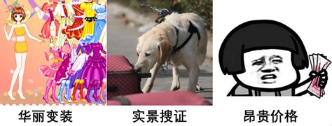 剧本杀玩法流程手把手教你剧本杀怎么玩 WE生活