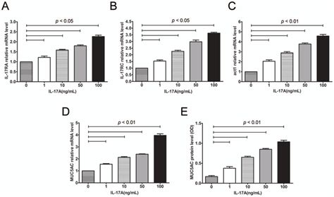 Il 17a Induced Il 17ra Il 17rc Act1 And Muc5ac Expression In Pecs And