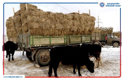 7 УДААГИЙН ҮЙЛДЛЭЭР ХУЛГАЙЛАХ ГЭМТ ХЭРЭГ ҮЙЛДСЭН ЭТГЭЭДҮҮДИЙГ ИЛРҮҮЛЛЭЭ