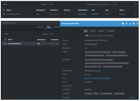 Workload Placement In Sas Viya 4 For The Installation Engineer Part 2