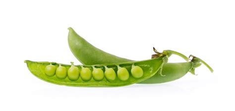 Premium Photo String Bean Isolated On White Background