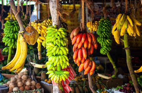 Estas Son Todas Las Variedades De Plátanos Que El Perú Tiene Para