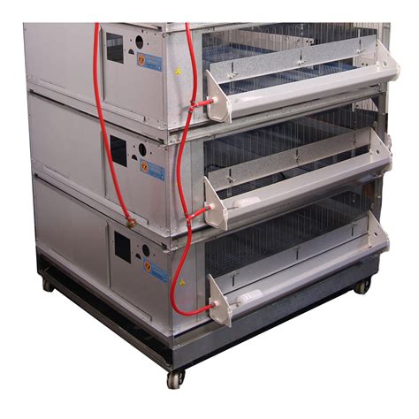 0540 Deck Game Birdpoultry Battery Brooder Your One Stop Poultry