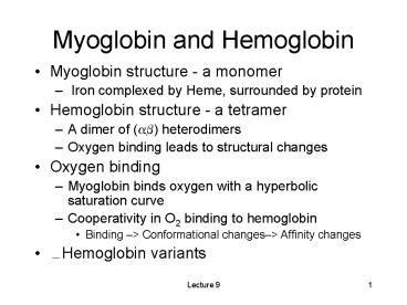Myoglobin And Hemoglobin Presentation Free To View